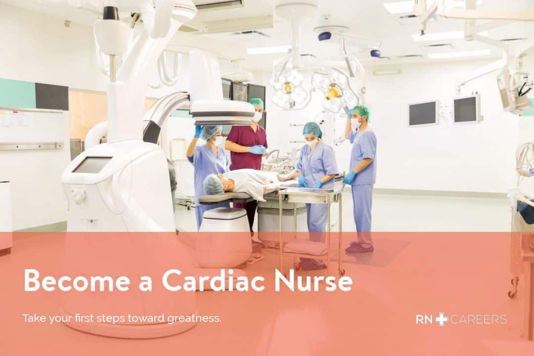 Comprehensive Guide Paramedic Vs Nurse: Become A Paramedic Or A Nurse ...