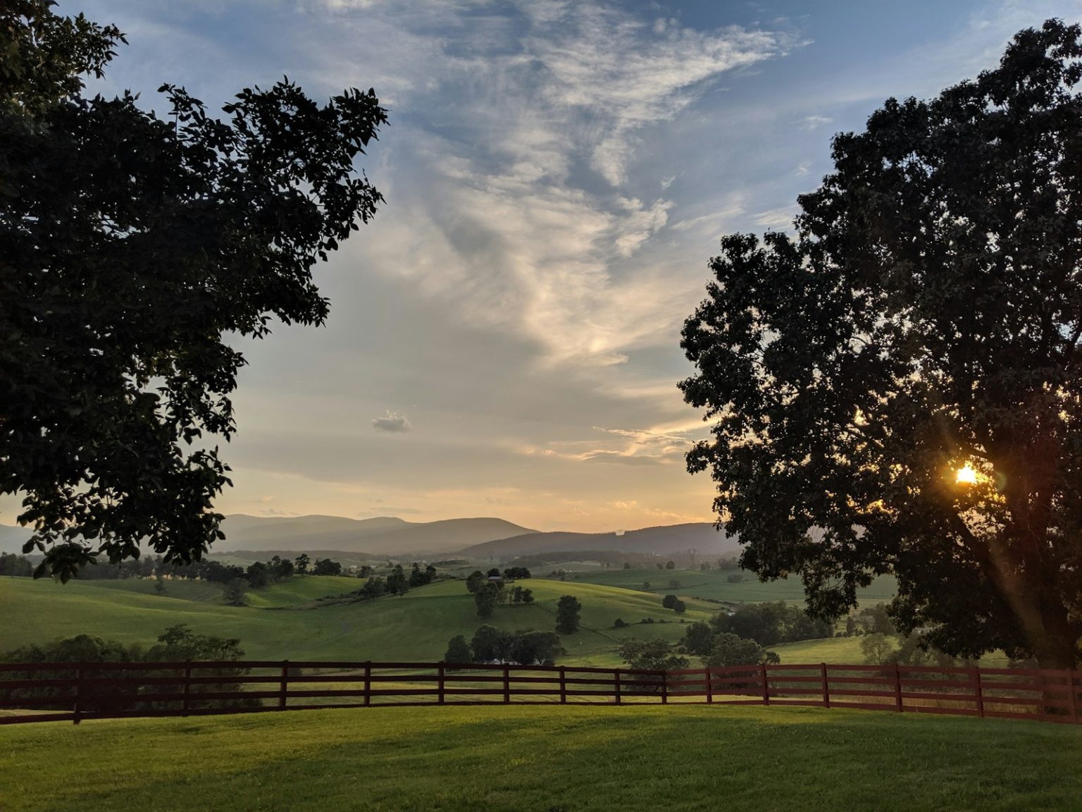 Comprehensive Guide To Nursing License In Virginia 2026