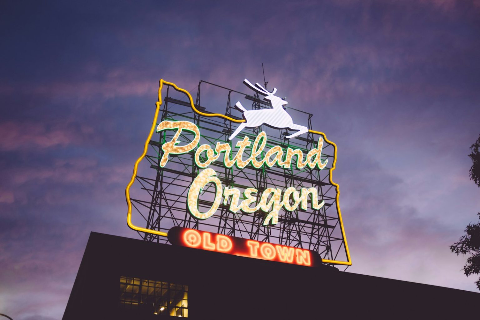 Comprehensive Guide To Nursing License In Oregon 2024